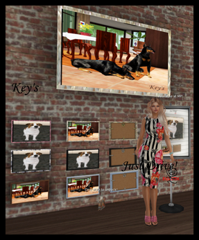 Second Life Marketplace - Frame Scroller Wall v1B 1LI Sky-Chrome - Show your SL History in ...